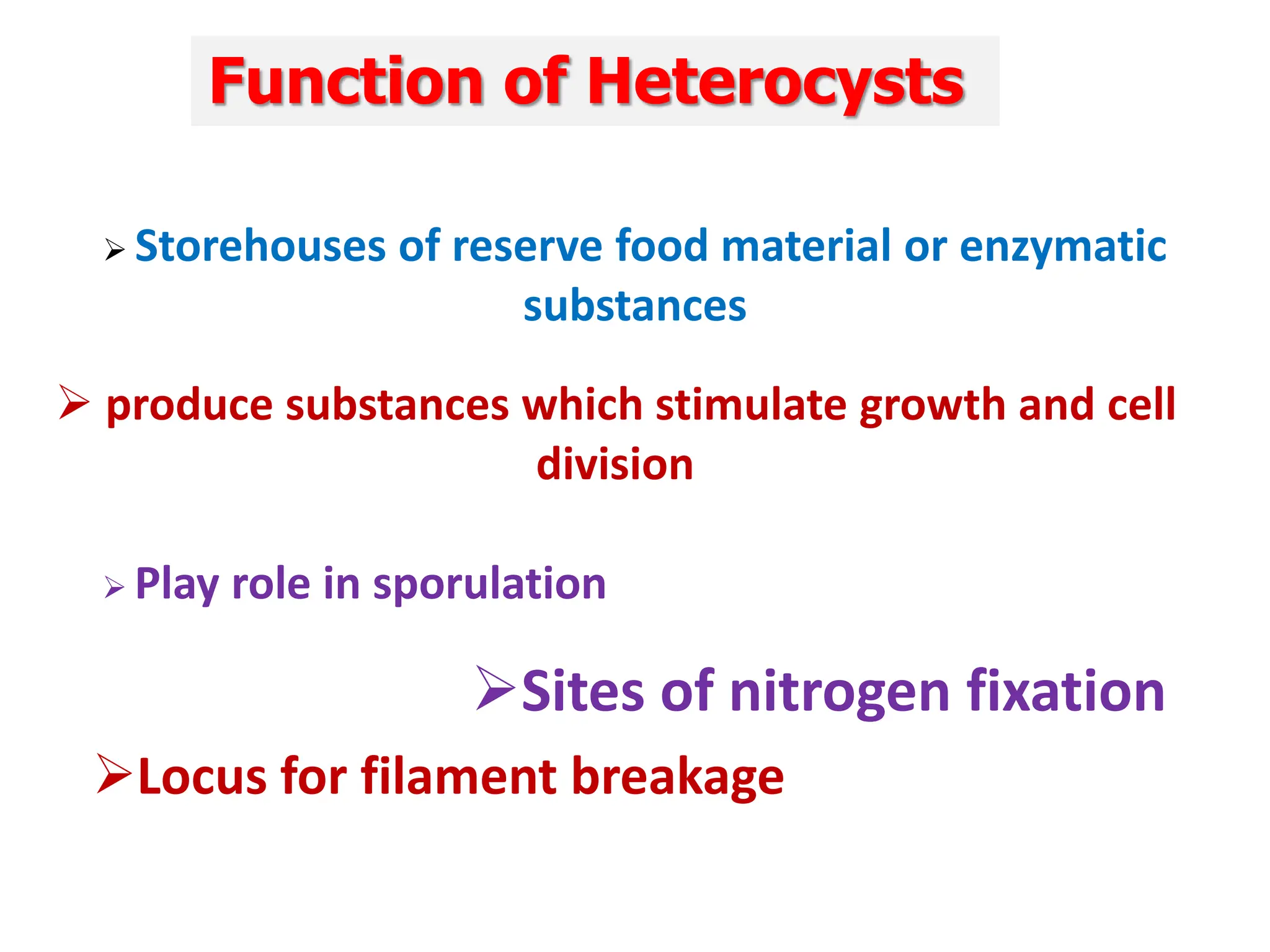Biological Nitrogen fixation In legumes pptx | PPTX