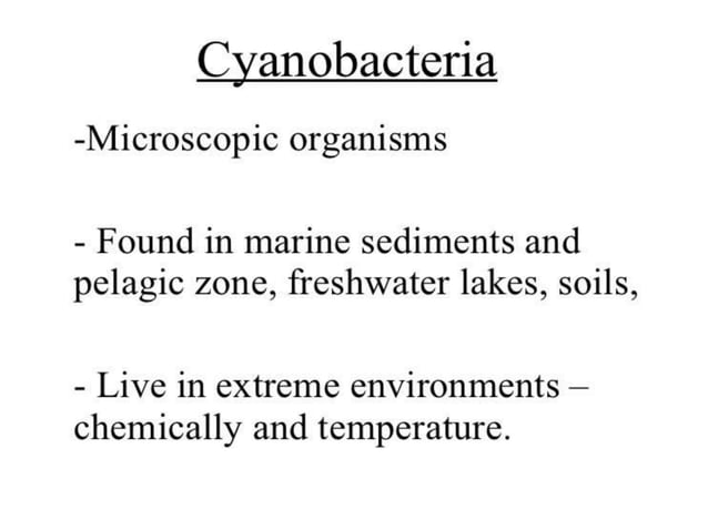 Biological Nitrogen Fixation In Legumes Pptx Ppt