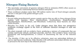 Biological method of Nitrogen fixation.pptx