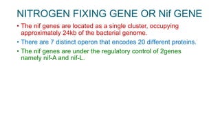 Biological method of Nitrogen fixation.pptx