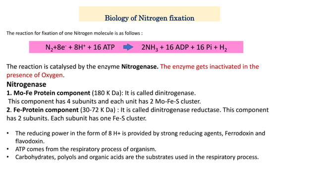 Biological method of Nitrogen fixation.pptx