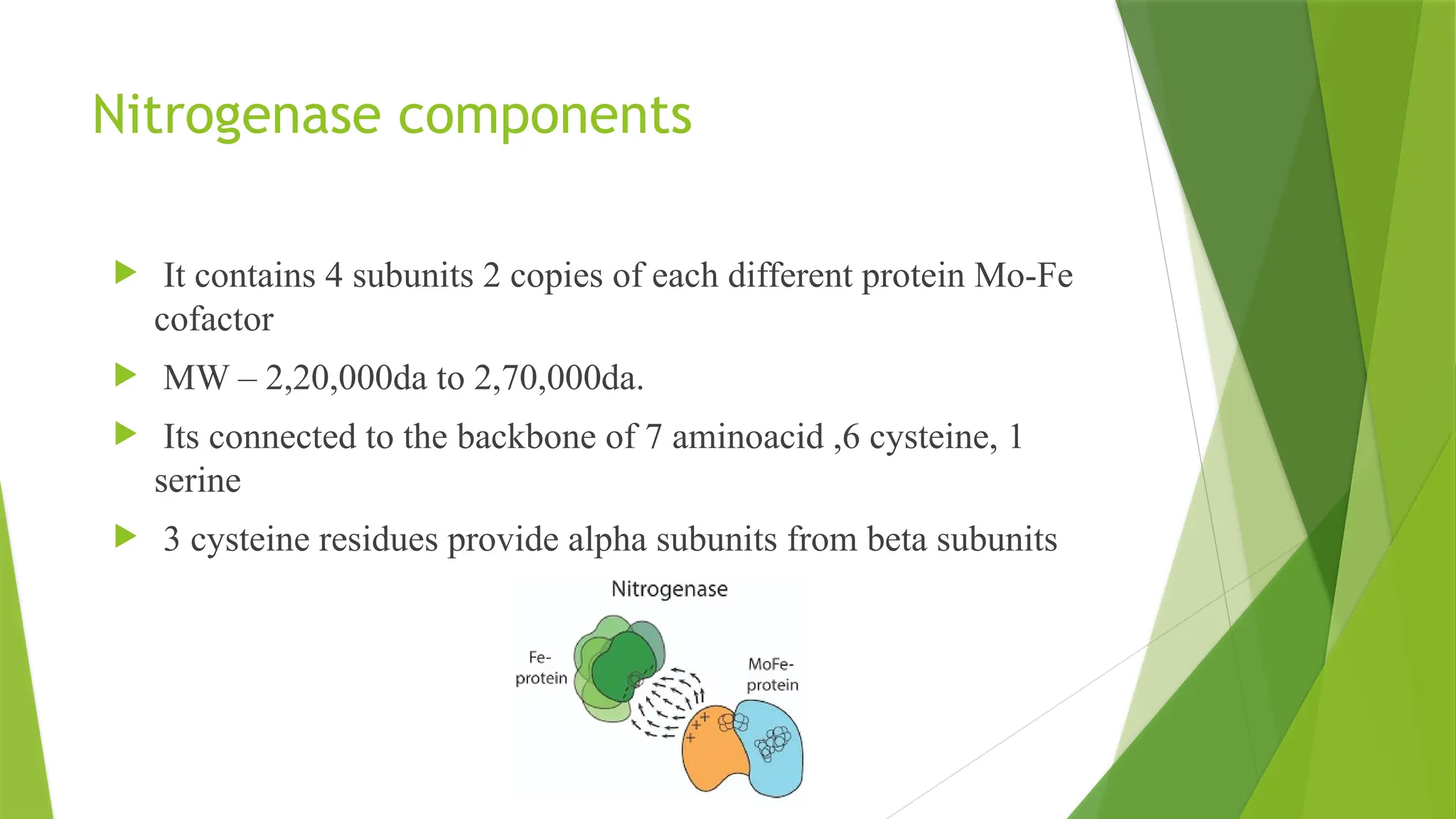 Biological Nitrogen fixation and genetic | PPTX