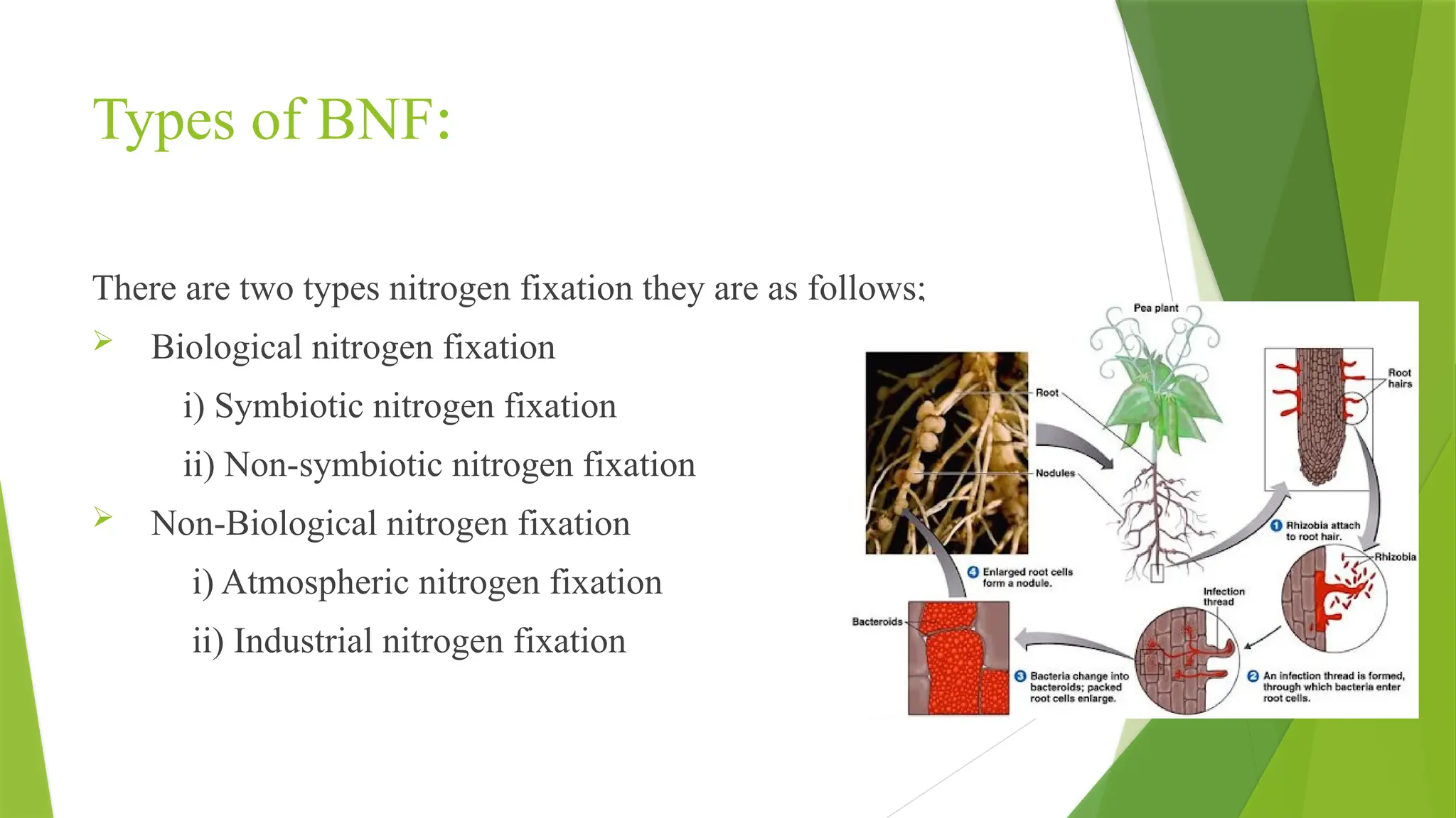 Biological Nitrogen fixation and genetic | PPTX
