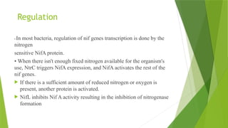 Biological Nitrogen fixation and genetic | PPTX