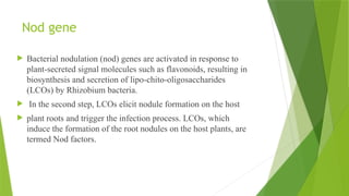 Biological Nitrogen fixation and genetic | PPTX
