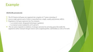 Biological Nitrogen fixation and genetic | PPTX