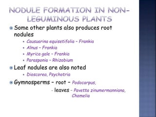 Nitrogenfixation physiology-140915092707-phpapp02 | PPT