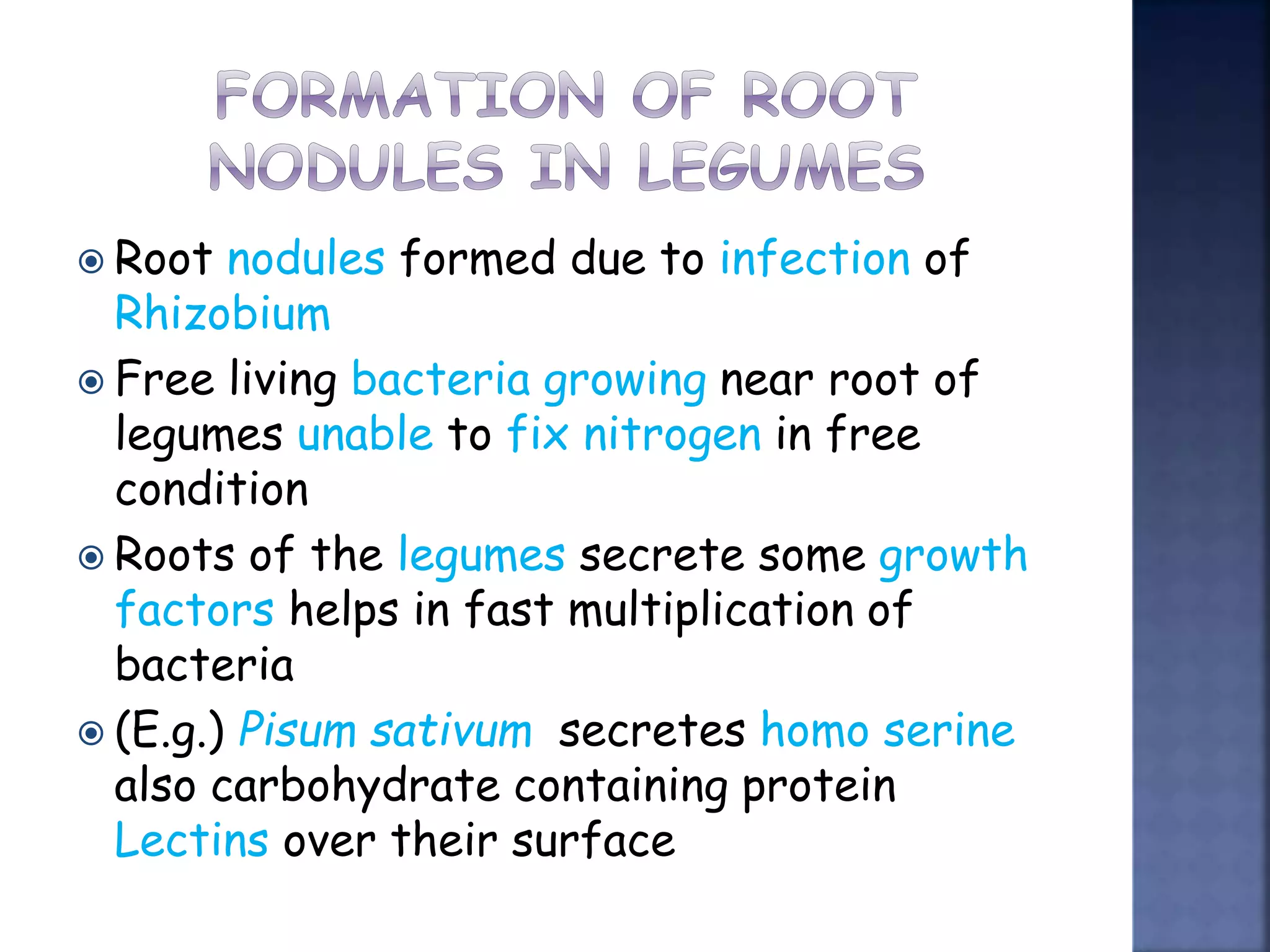 Nitrogen fixation | PPTX