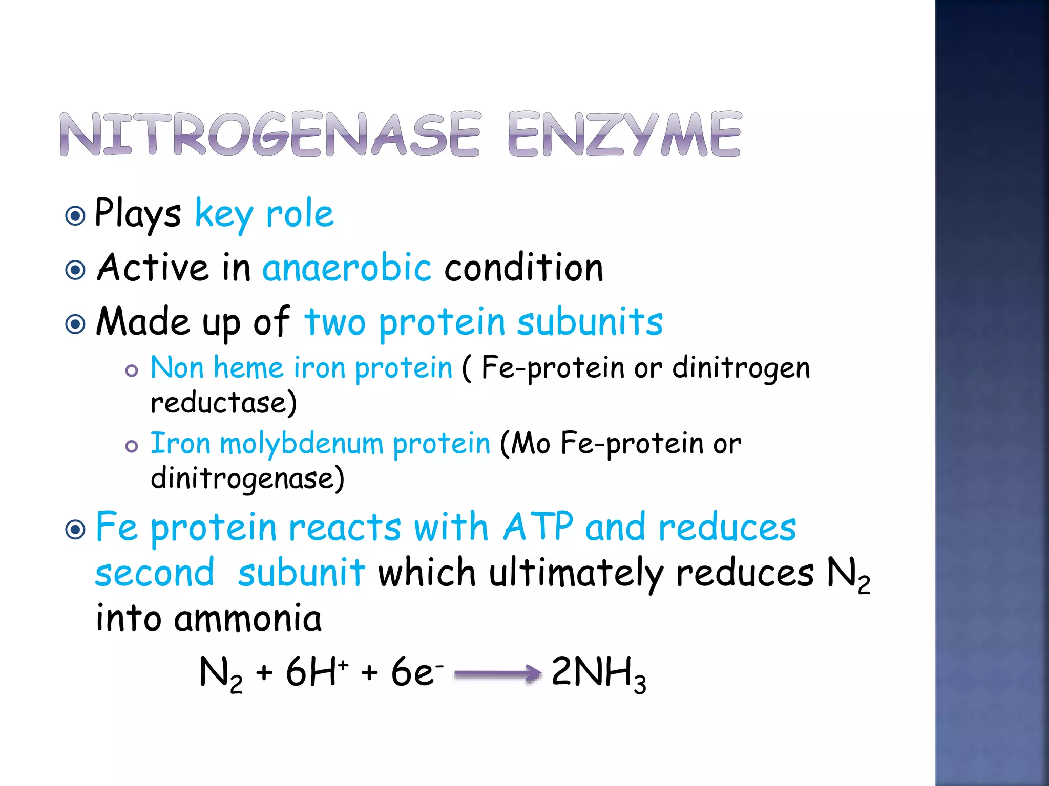 Nitrogen fixation | PPTX