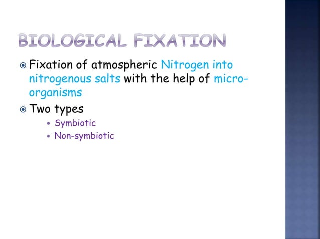 Nitrogen fixation | PPTX