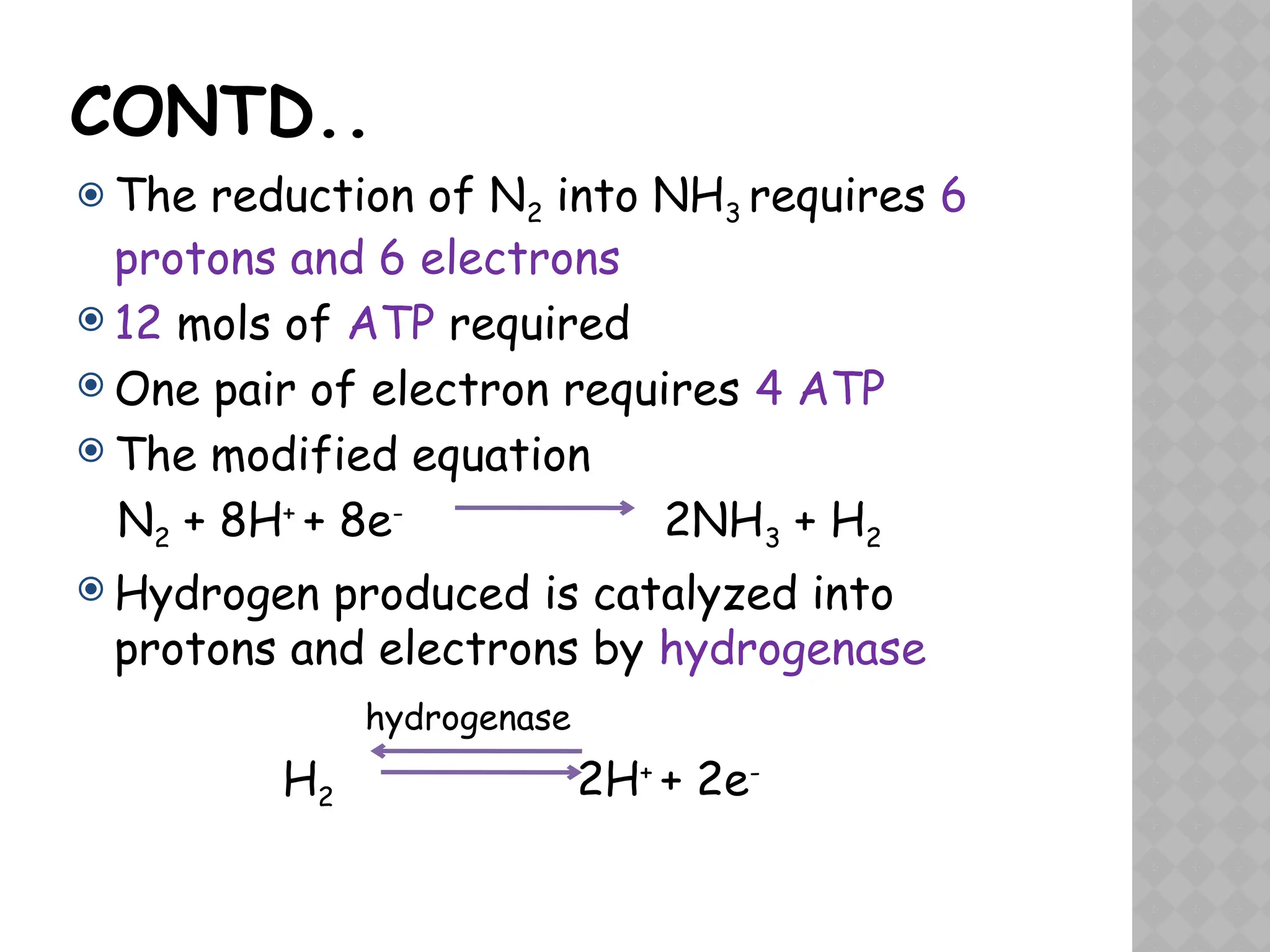 nitrogen fixation-p,,,,,,,,,,,,,,hysiology.pptx
