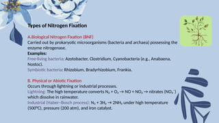 Nitrogen fixation-types of nitrogen fixation.pptx