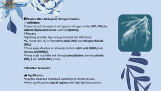 Nitrogen fixation-types of nitrogen fixation.pptx