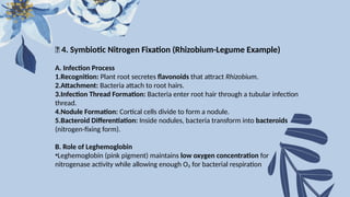 Nitrogen fixation-types of nitrogen fixation.pptx