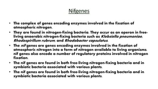 NITROGEN FIXATION.pptx | Genetics | Science
