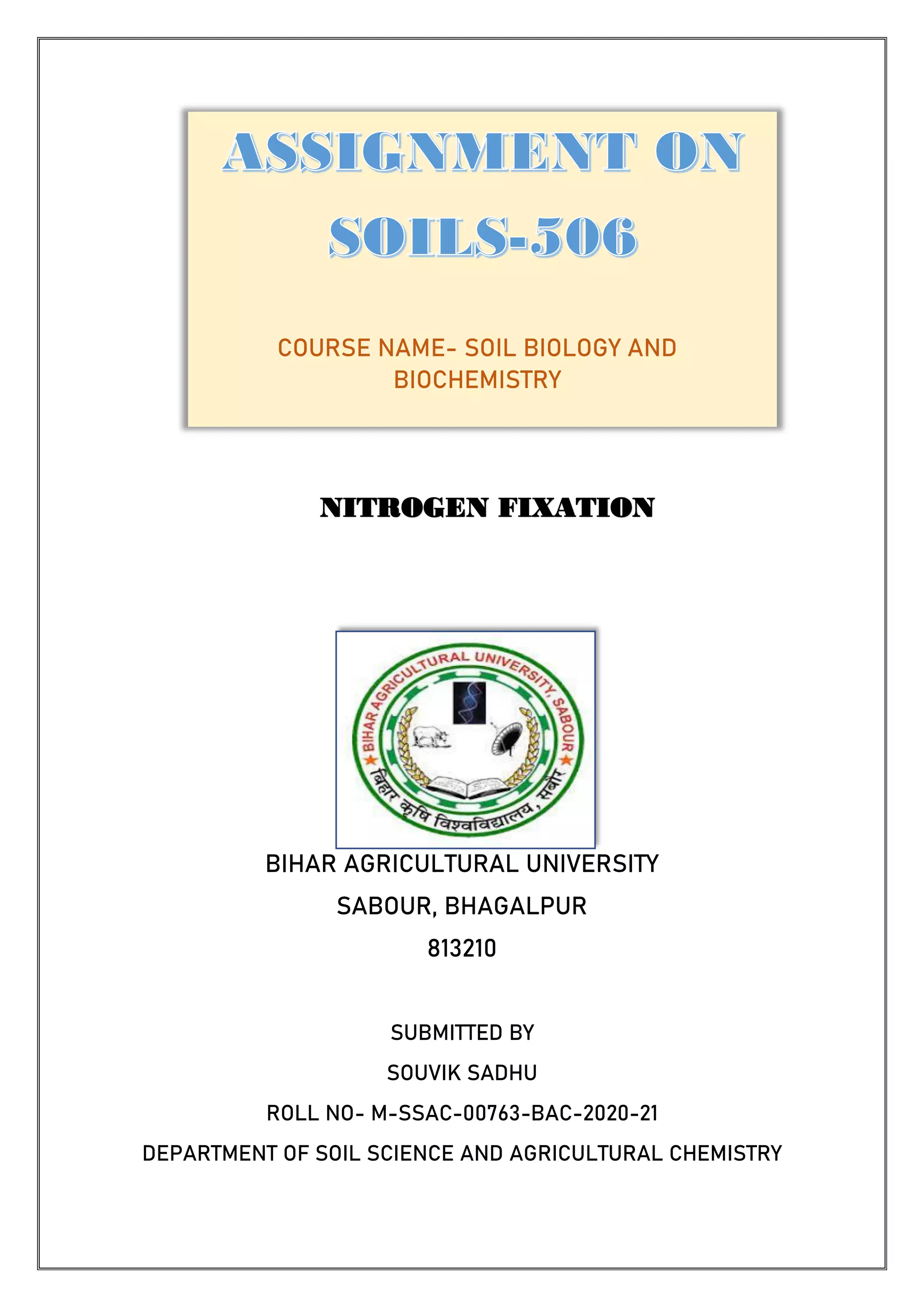 Nitrogen fixation assignment | PDF