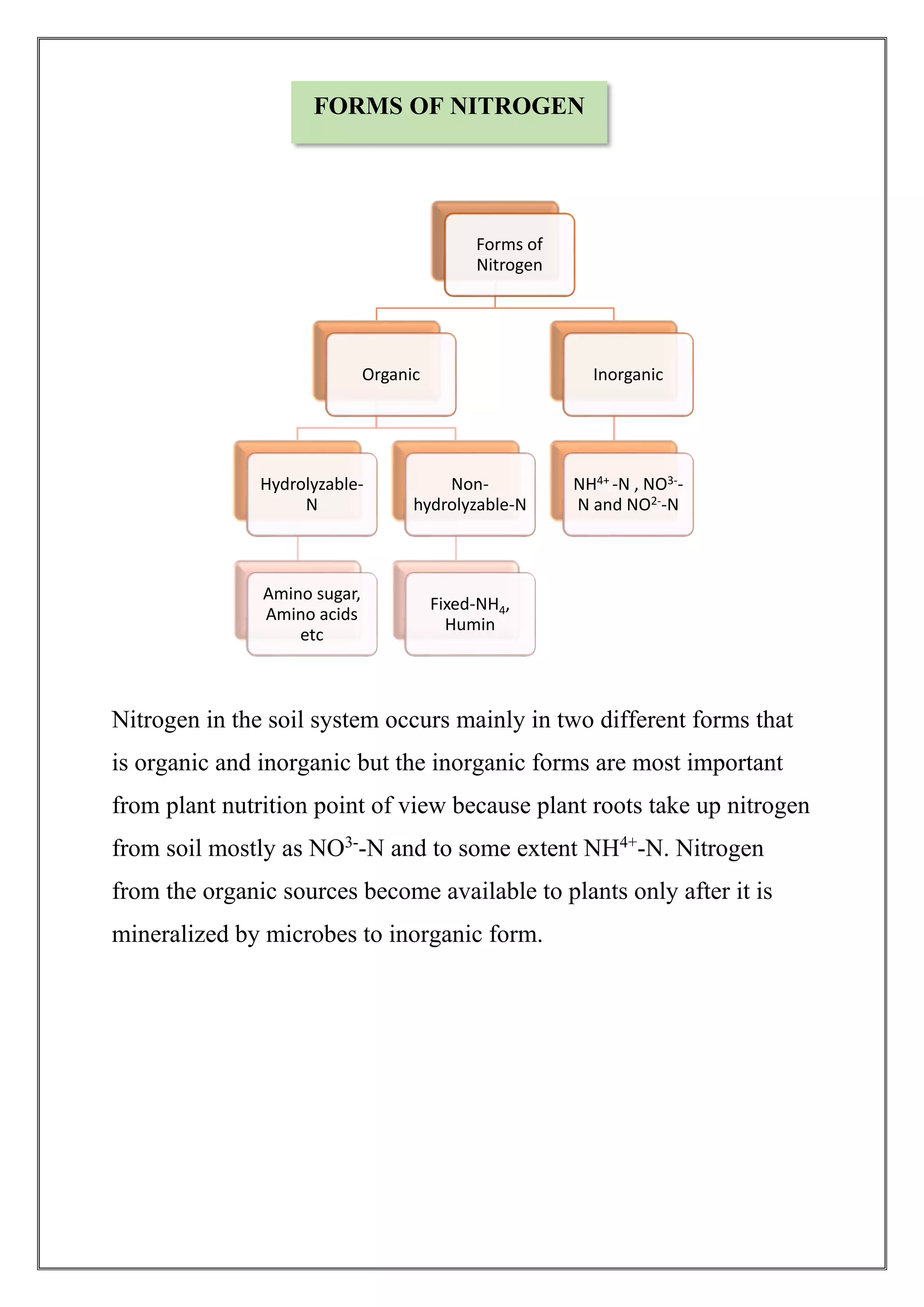 Nitrogen fixation assignment | PDF