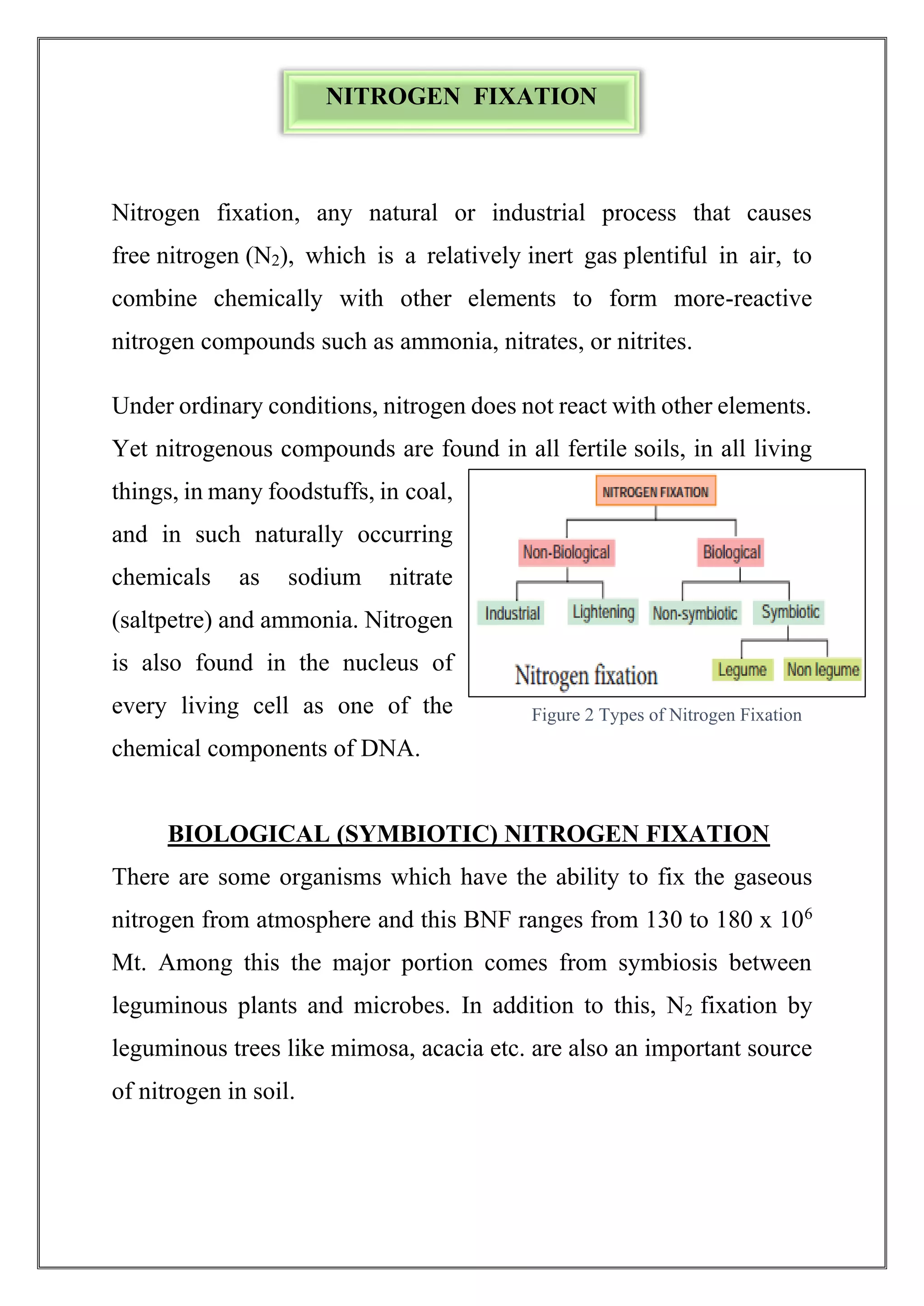 Nitrogen fixation assignment | PDF
