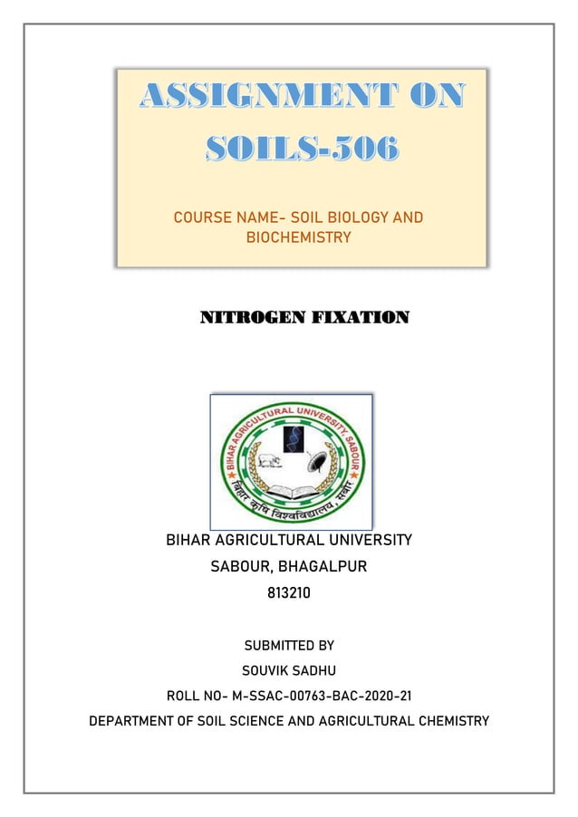 Nitrogen fixation assignment | PDF