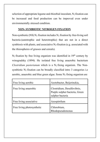 Nitrogen fixation assignment | PDF