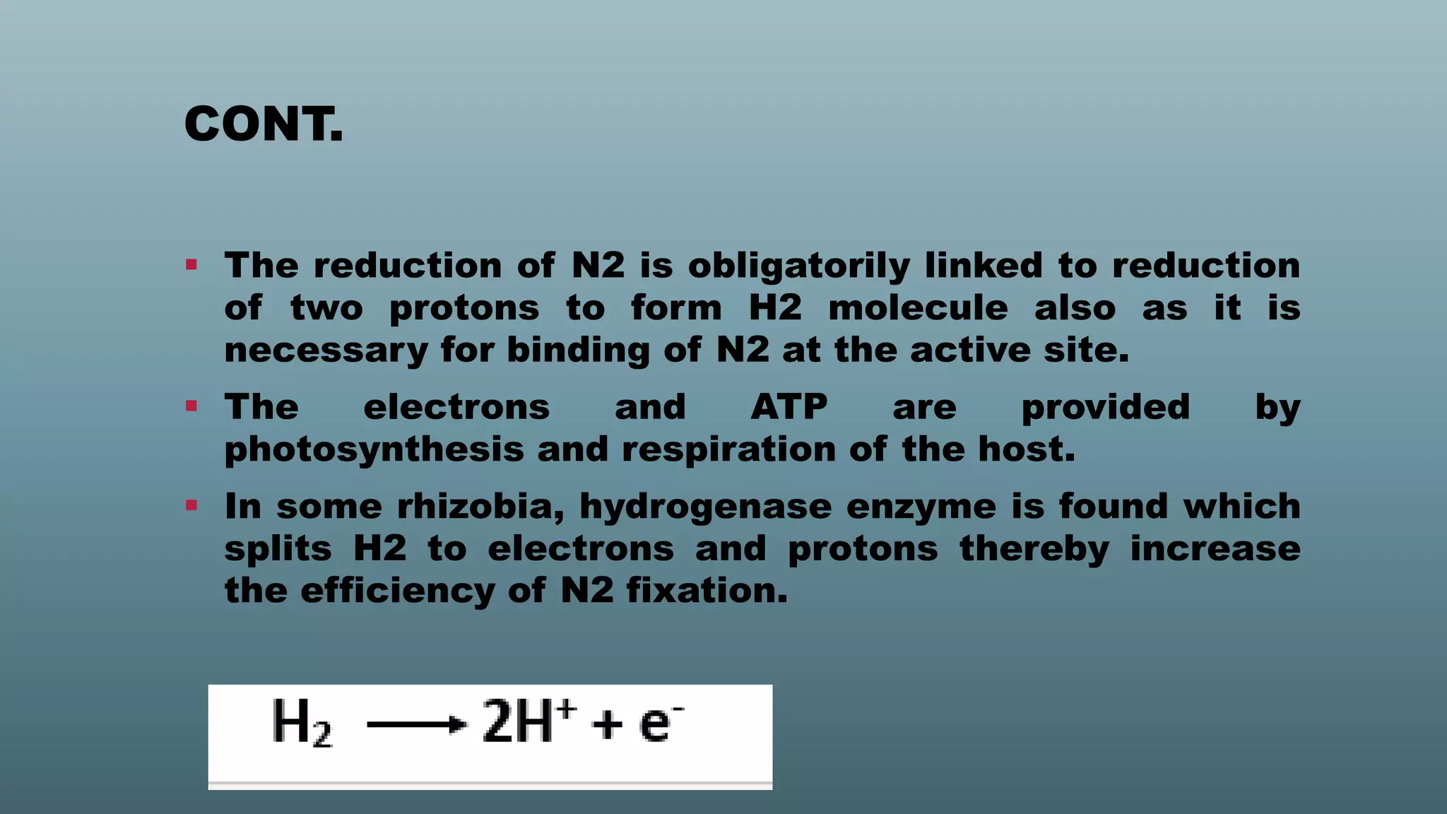 nitrogen fixation by Pranzly.ppt