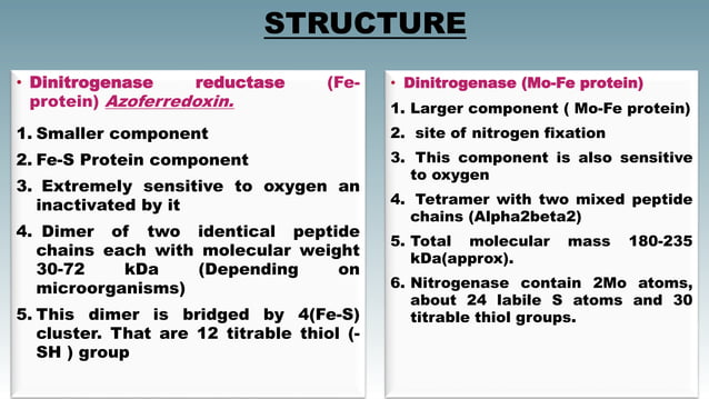 nitrogen fixation by Pranzly.ppt