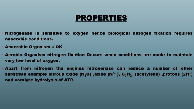 nitrogen fixation by Pranzly.ppt
