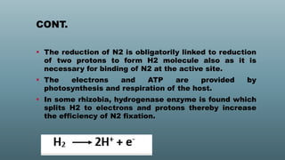 nitrogen fixation by Pranzly.ppt