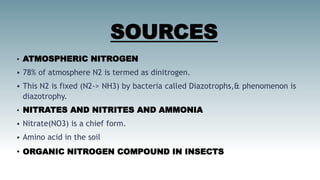 nitrogen fixation by Pranzly.ppt