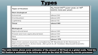 nitrogen fixation by Pranzly.ppt