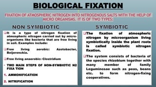 nitrogen fixation by Pranzly.ppt
