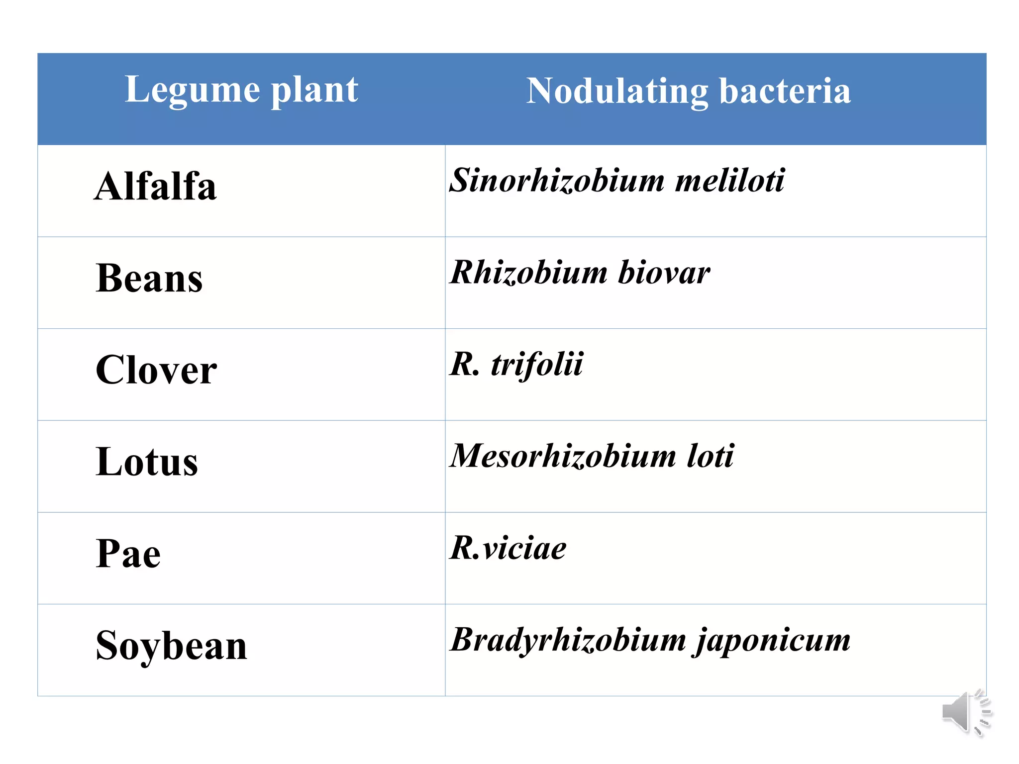 Biological Nitrogen fixation | PPT