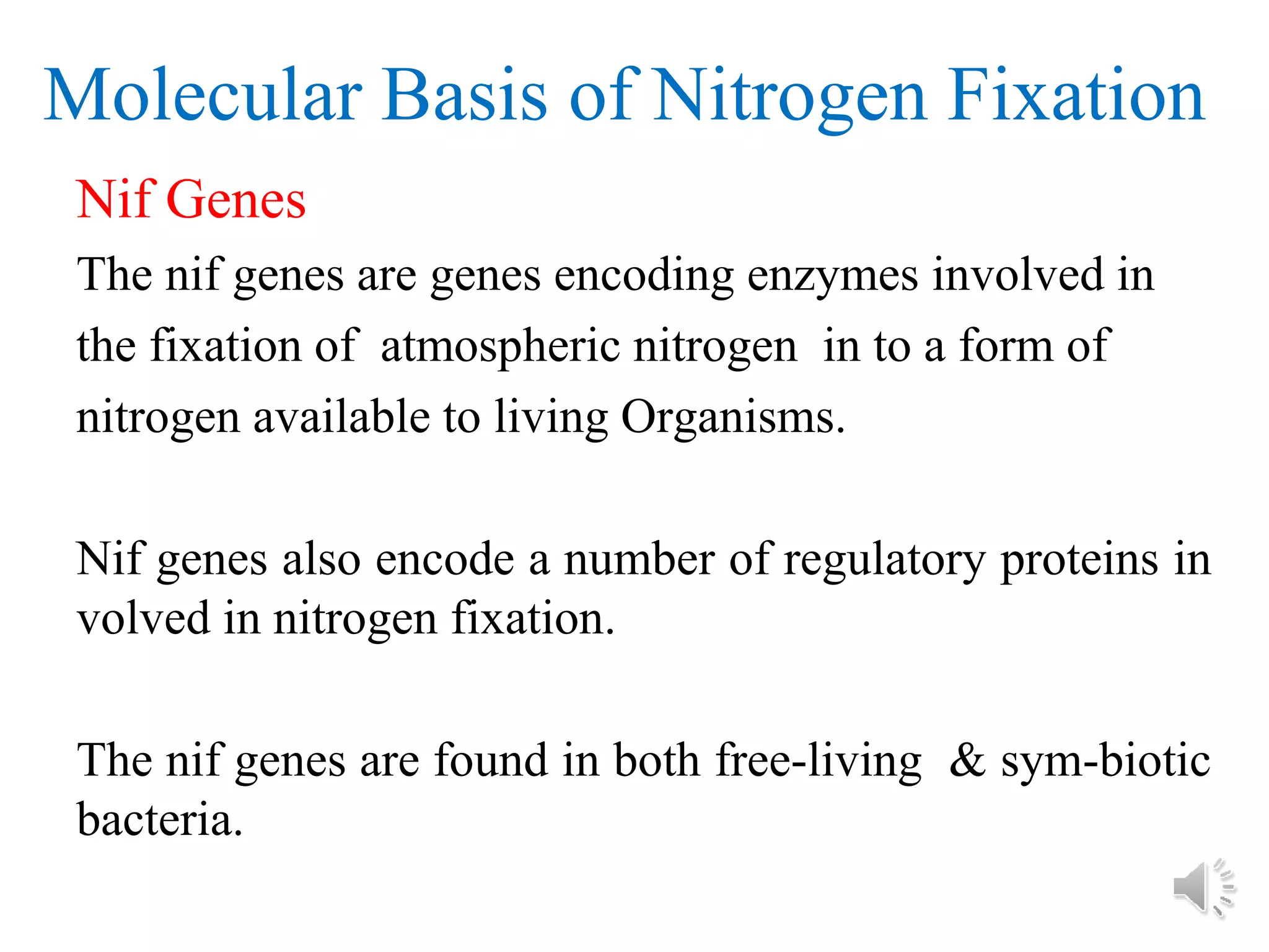 Biological Nitrogen fixation | PPT