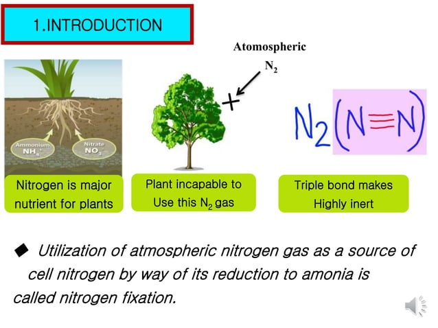 Biological Nitrogen fixation | PPT | Biological Sciences | Science