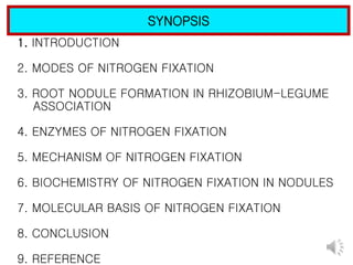 Nitrogen Fixation Examples