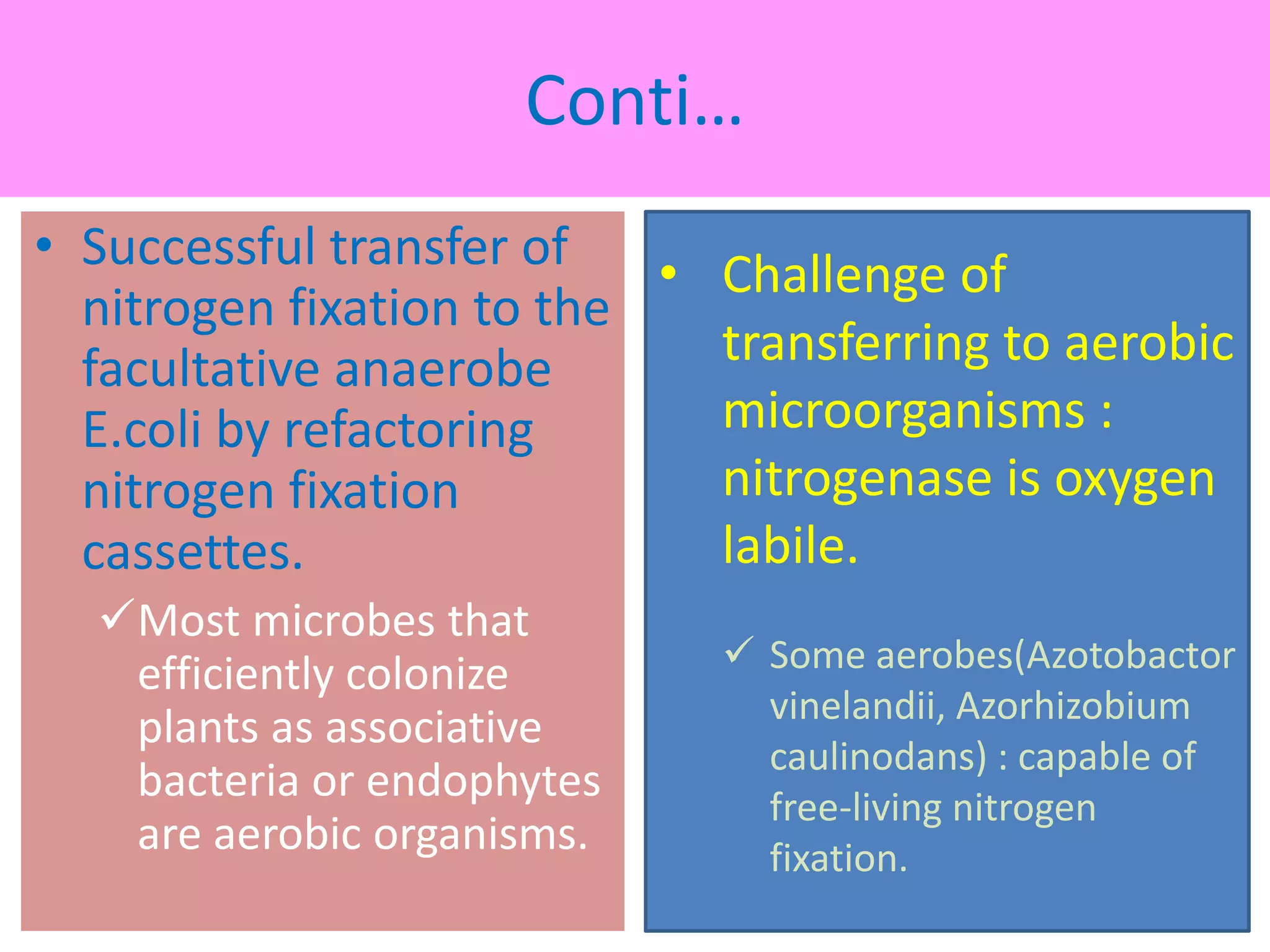 Nitrogen fixation in legumes and cereal crops | PPTX