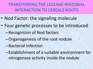 Nitrogen fixation in legumes and cereal crops | PPTX