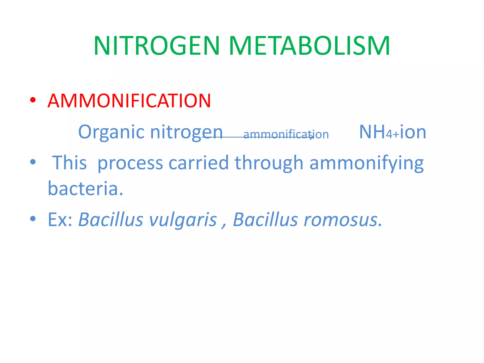 NITROGEN FIXATION IN PLANTS.pptx