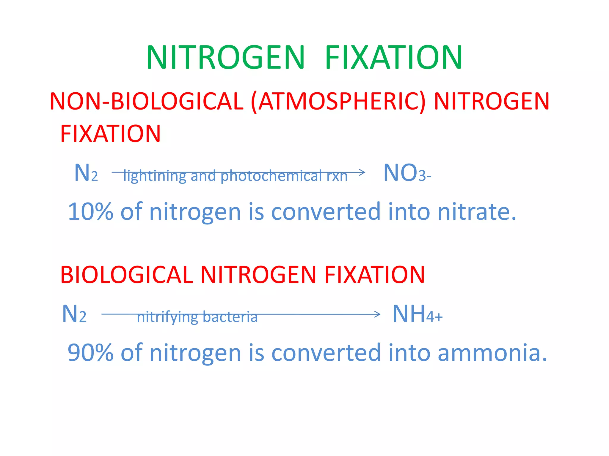 NITROGEN FIXATION IN PLANTS.pptx