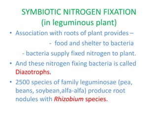 NITROGEN FIXATION IN PLANTS.pptx