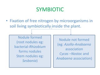 NITROGEN FIXATION IN PLANTS.pptx