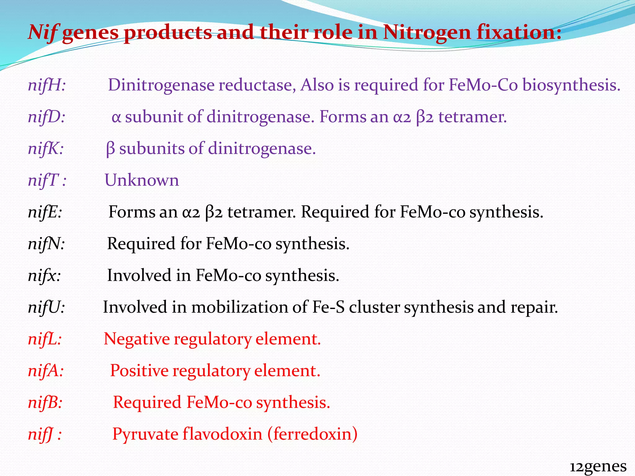 Nitrogen fixation mechanism and genes involved in nitrogen fixation | PPTX