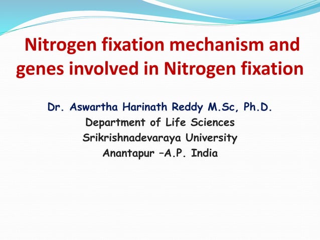 Nitrogen fixation mechanism and genes involved in nitrogen fixation ...