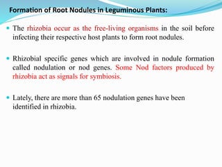 Nitrogen fixation mechanism and genes involved in nitrogen fixation | PPTX