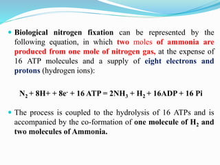 Nitrogen fixation mechanism and genes involved in nitrogen fixation | PPTX