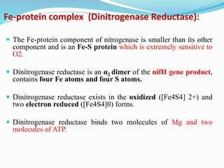 Nitrogen fixation mechanism and genes involved in nitrogen fixation | PPTX