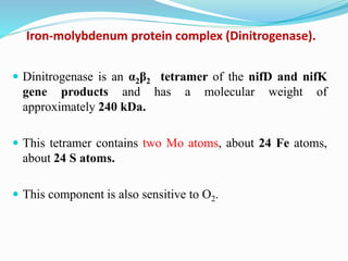 Nitrogen fixation mechanism and genes involved in nitrogen fixation | PPTX