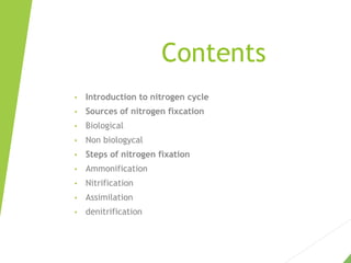 nitrogen fixation ppt mam ayesha ppt.pptx