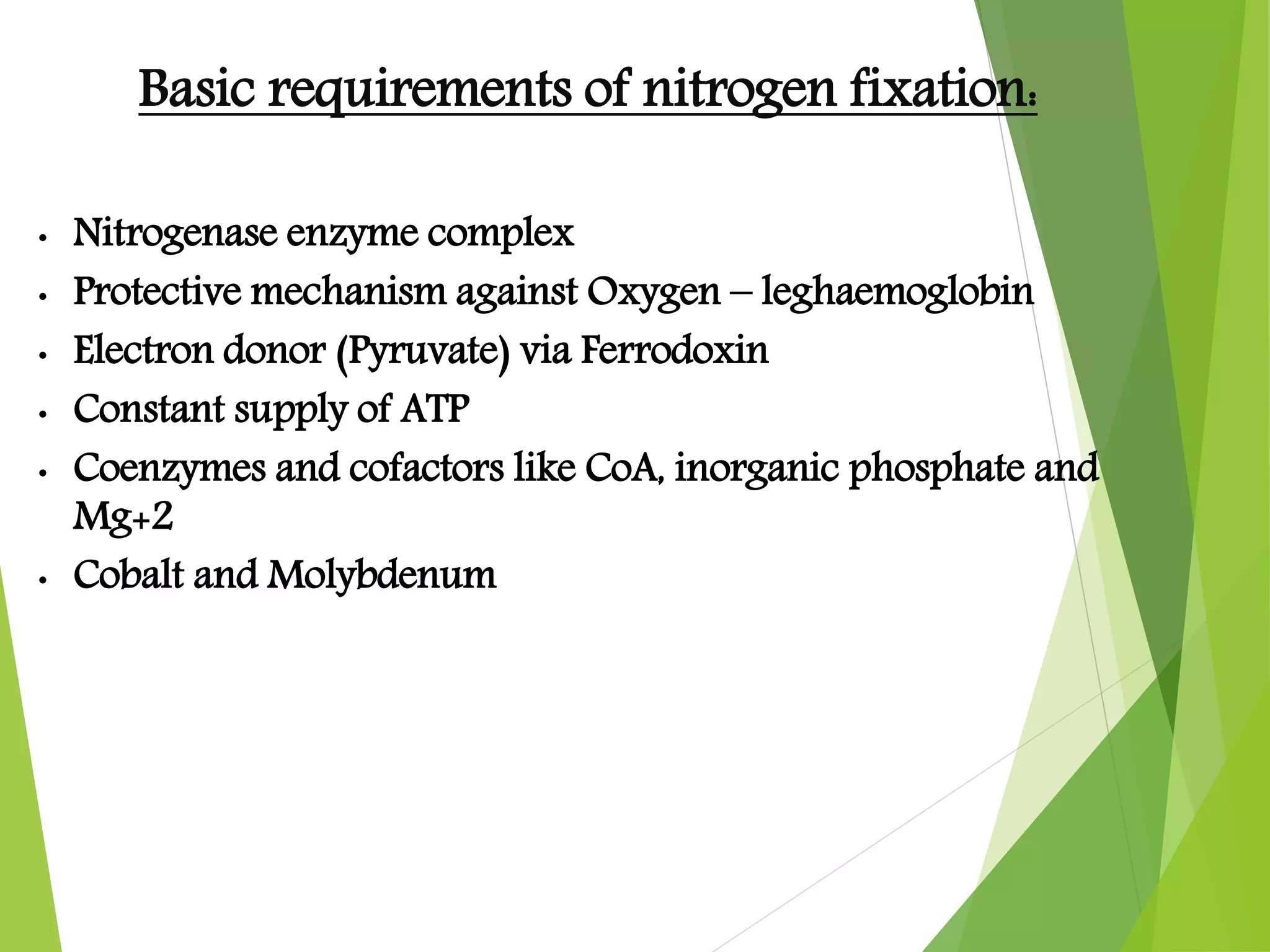 Nitrogen fixation in plants | PPTX