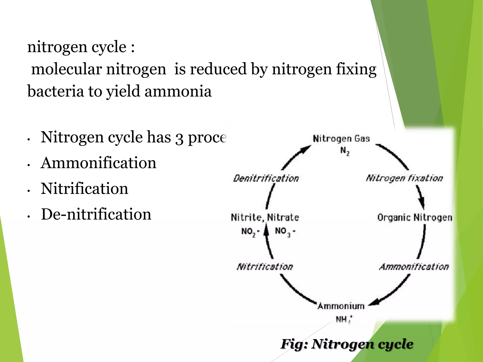 Nitrogen fixation in plants | PPTX